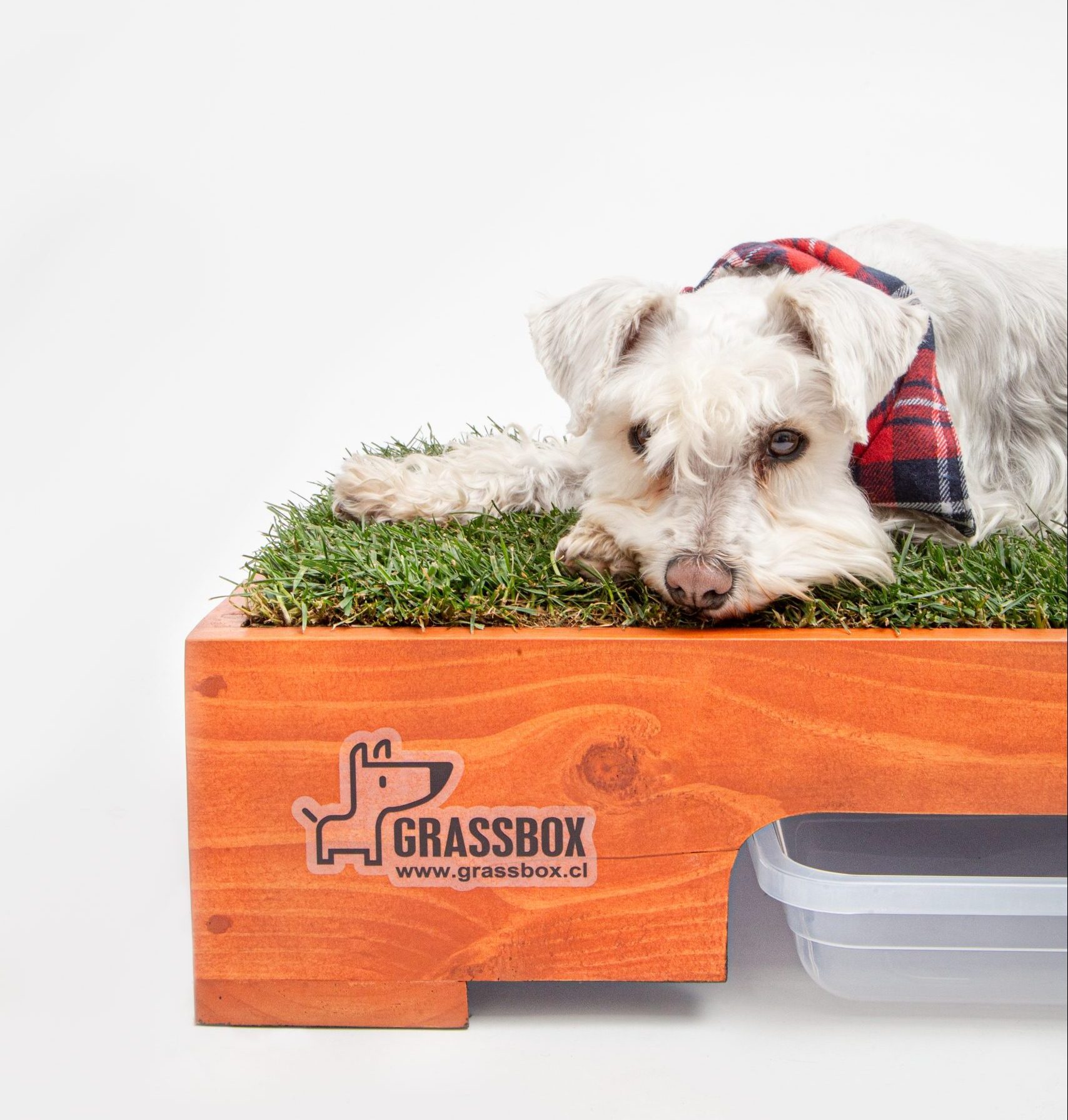 Nosotros – GrassBox