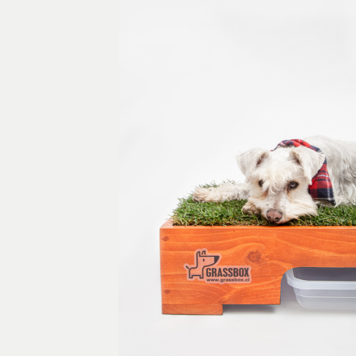 GrassBox